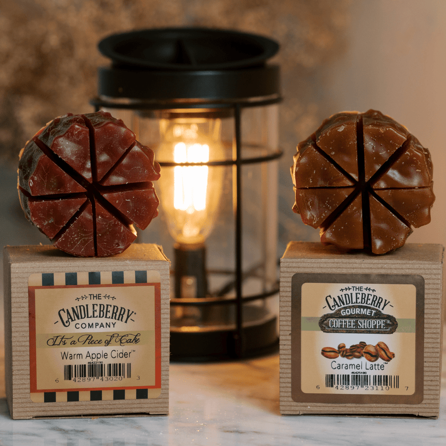 Double Cavity Silicone Warmer Insert | Candleberry - The Candleberry ...